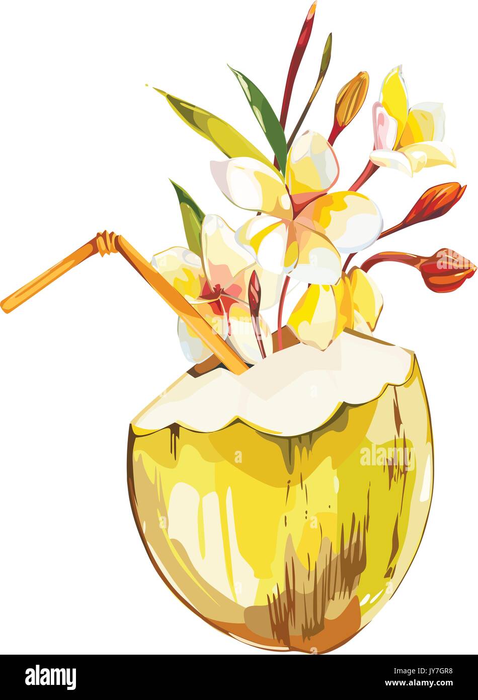 Vector coconut hand drawn sketch with plumeria flowers. Watercolor ...