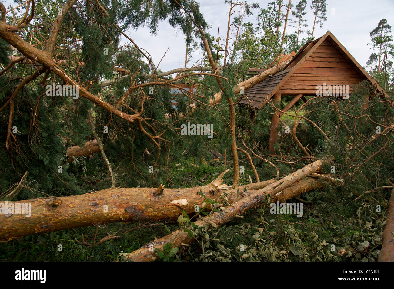 Destroyed rest place and fallen trees in forest caused by extremely ...