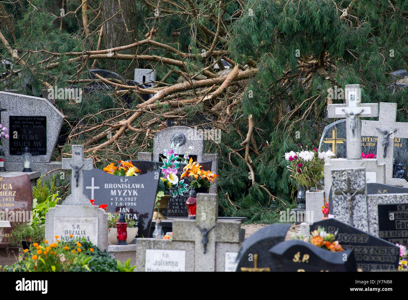 Destroyed cemetery caused by extremely high wind speed during the storm ...