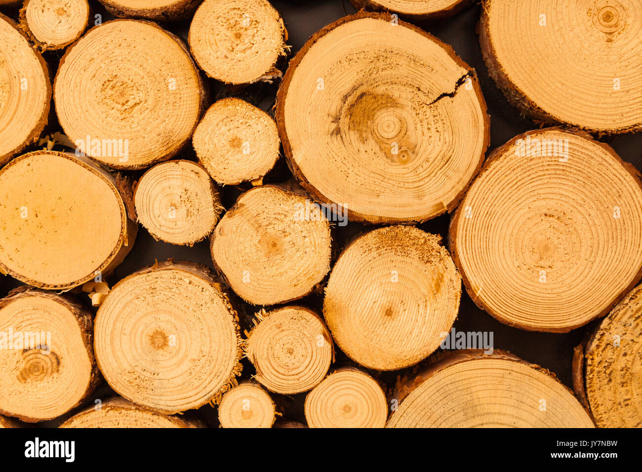 Variety of different sized logs in a pile Stock Photo - Alamy