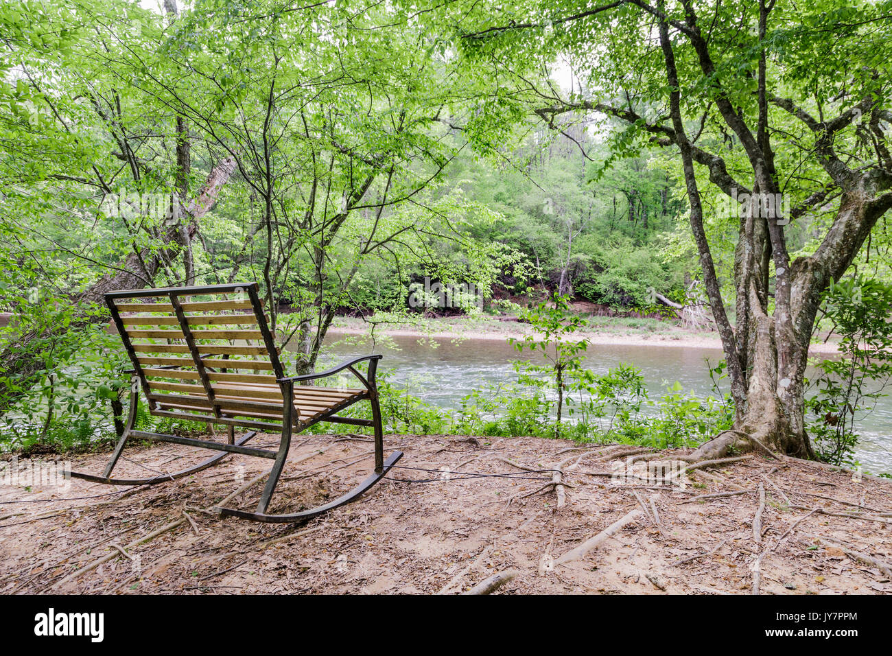 Rocking Bench on River Side in Woods Stock Photo - Alamy