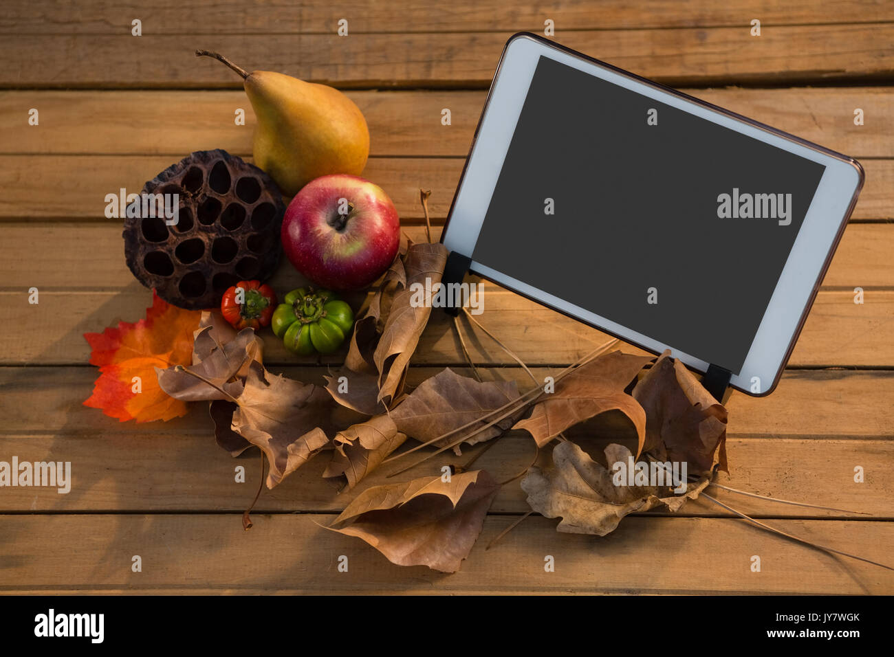 Plant pod hi-res stock photography and images - Alamy