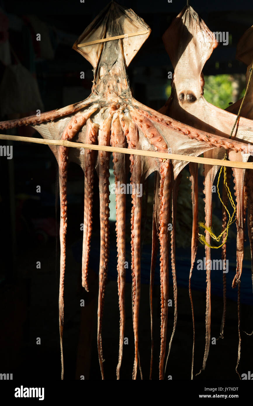 Dry octopus hanging in roadside stall in Aceh, Indonesia Stock Photo ...
