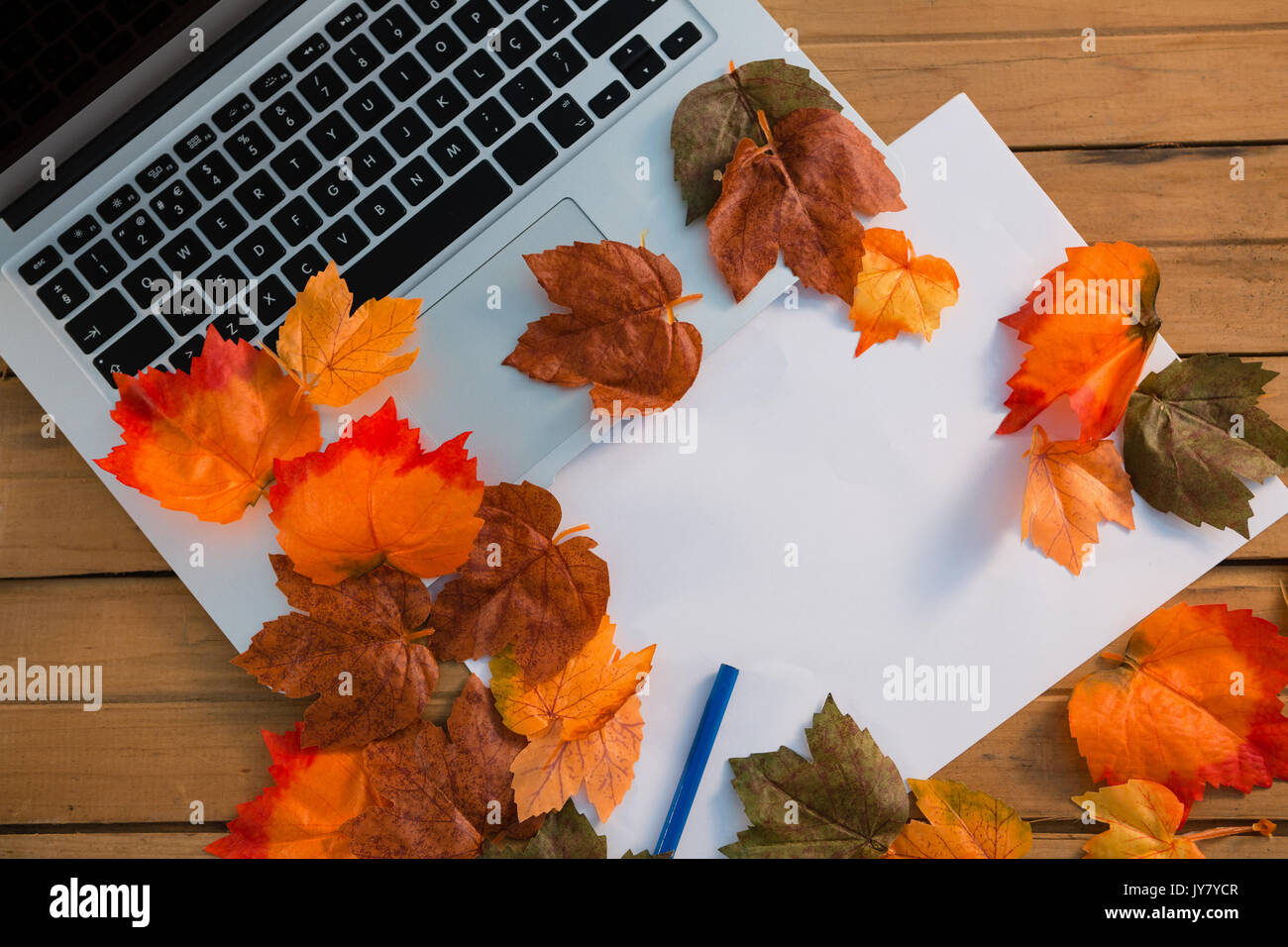 Overhead autumn leaves hi-res stock photography and images - Alamy