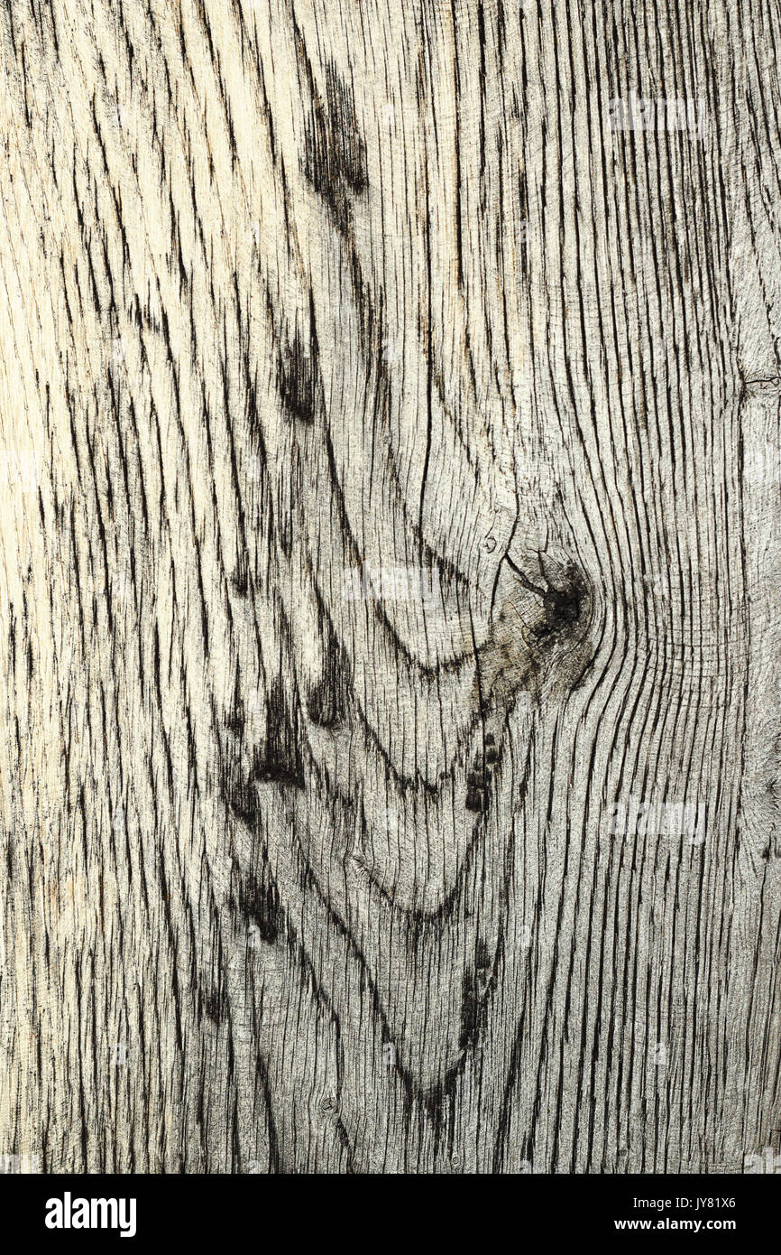 details on wood plank, texture for your design Stock Photo - Alamy