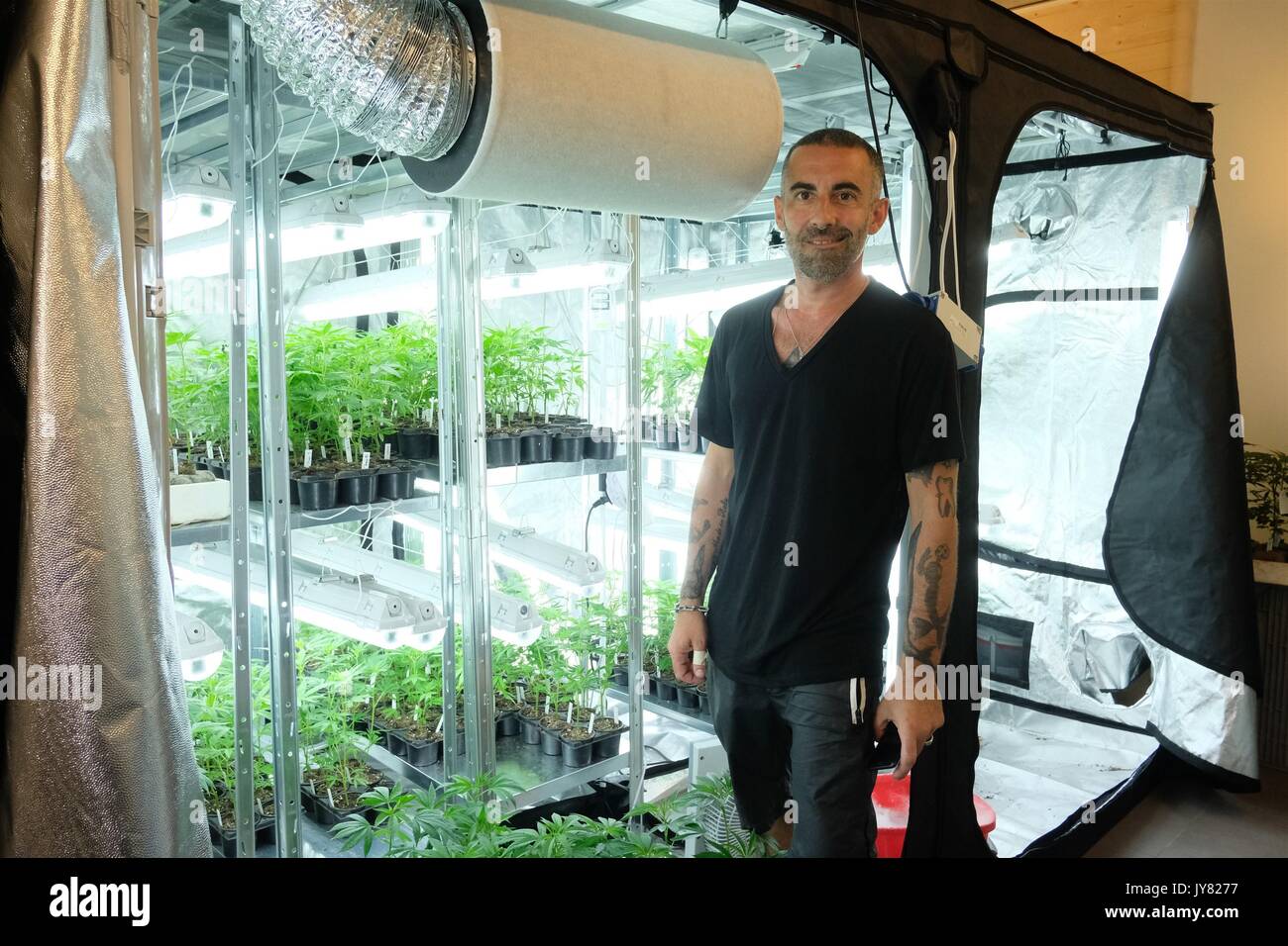 Alberto Valsecchi, proprietor of Hemp Embassy, the first legal ...