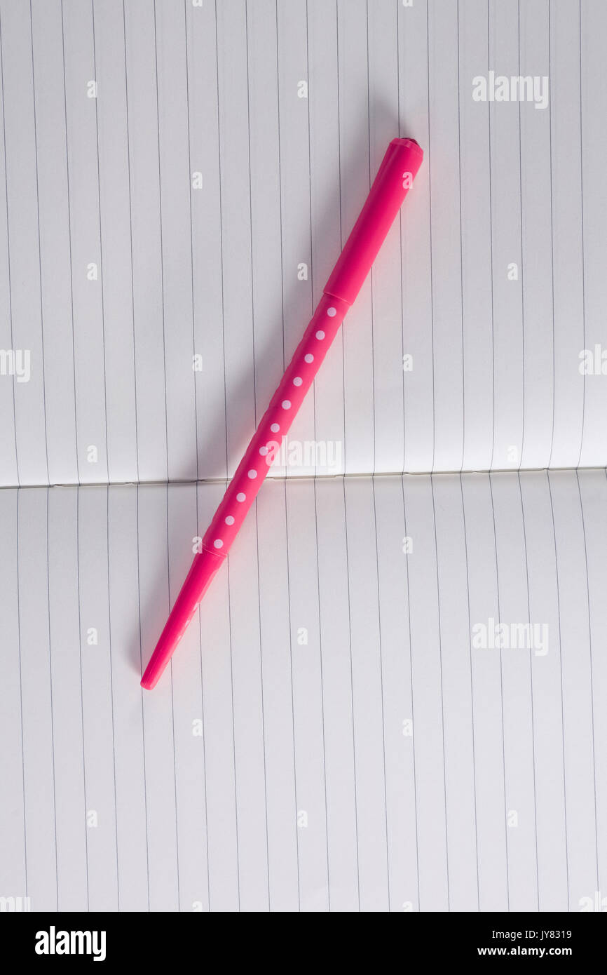 Overhead of pen on open diary Stock Photo - Alamy