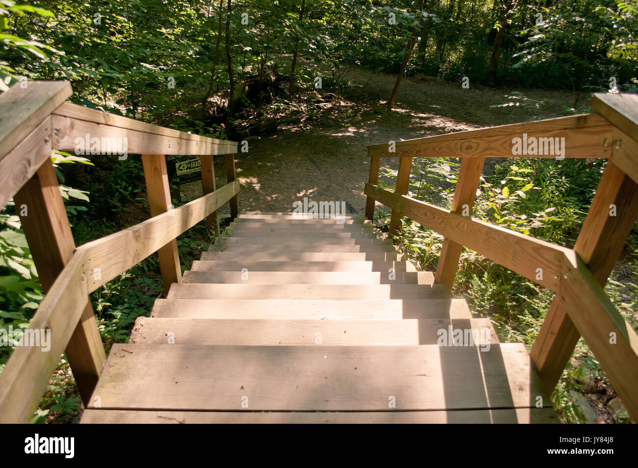 Looking down a flight of wooden steps in the woods Stock Photo - Alamy