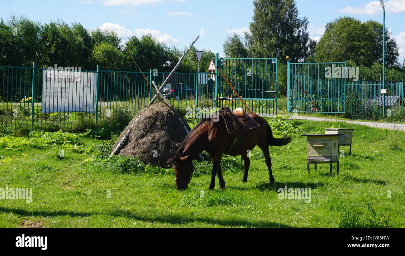 Russia Countryside home and animals Stock Photo - Alamy