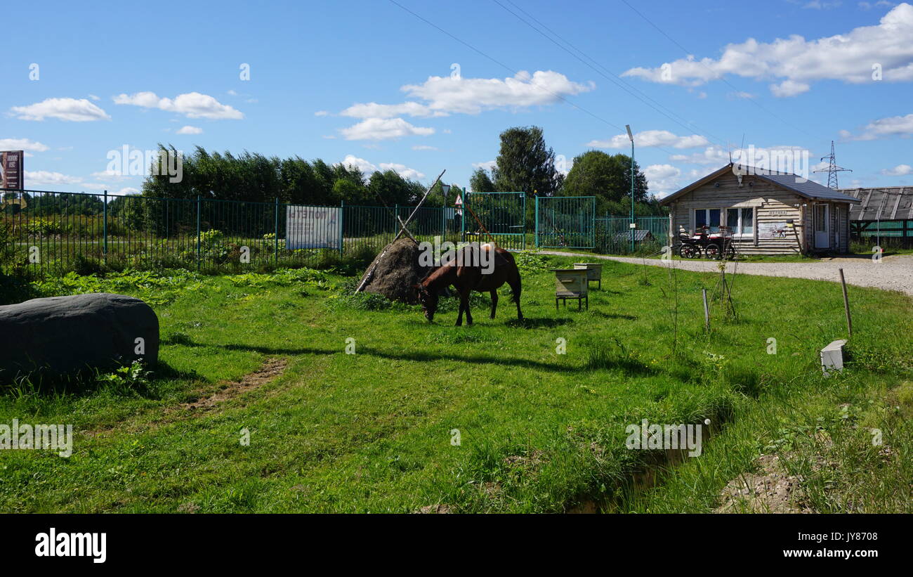 Russia Countryside home and animals Stock Photo - Alamy