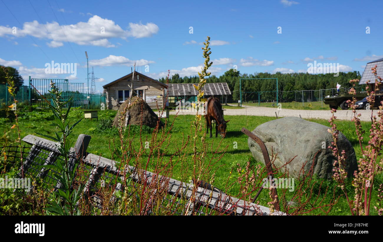 Russia Countryside home and animals Stock Photo - Alamy
