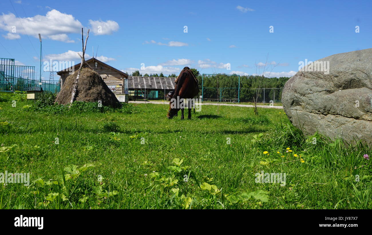 Russia Countryside home and animals Stock Photo - Alamy