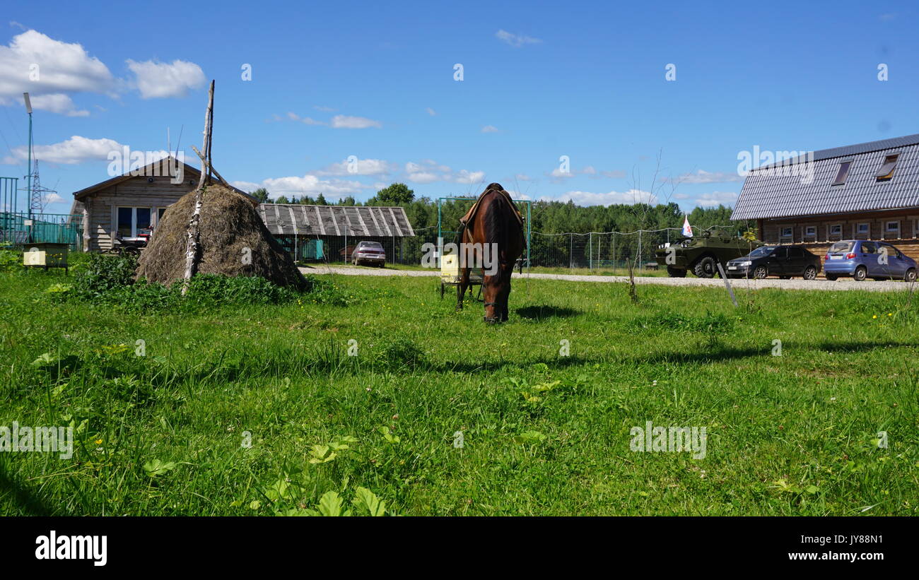 Russia Countryside home and animals Stock Photo - Alamy