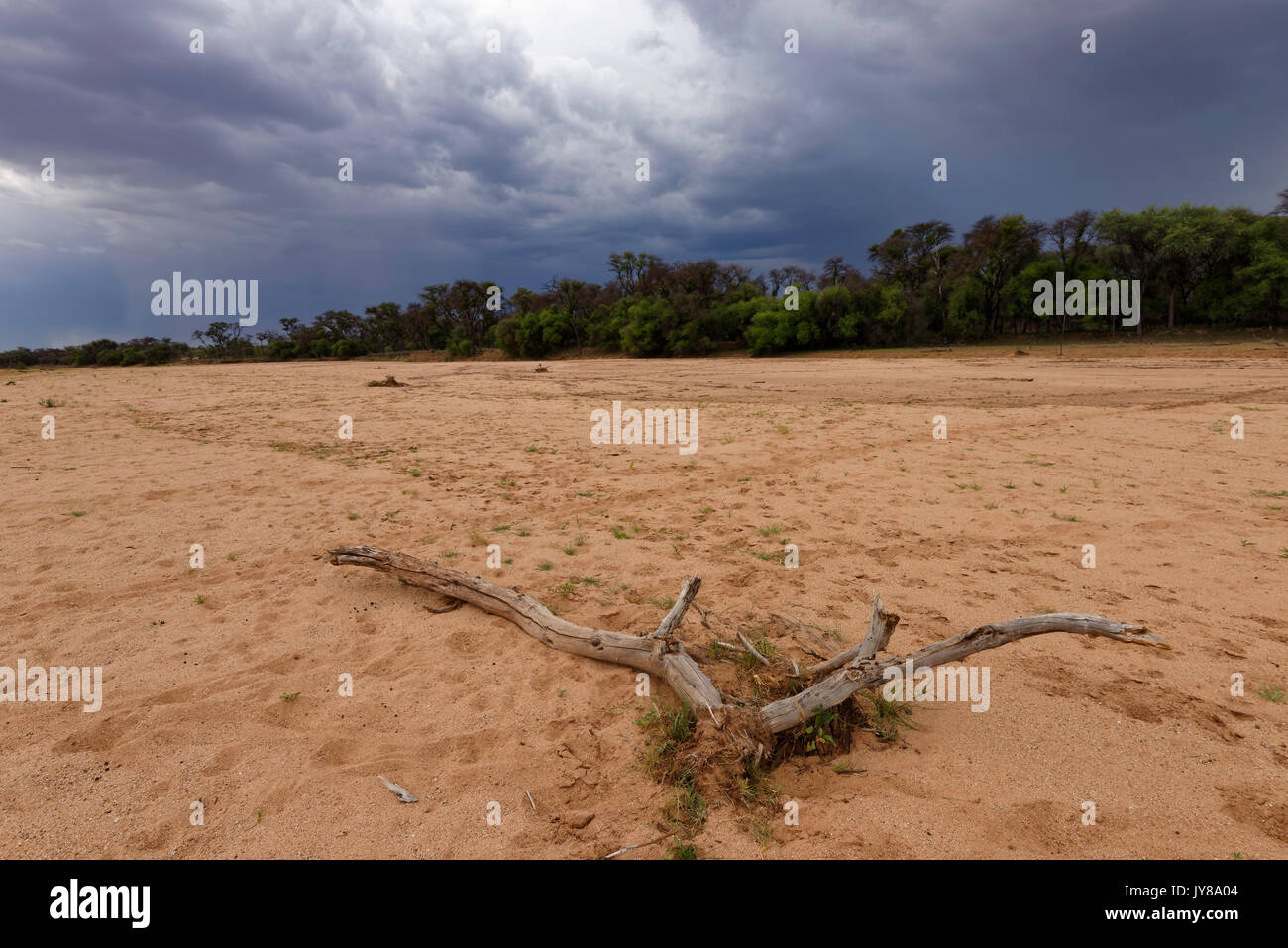 Omaruru River High Resolution Stock Photography and Images - Alamy