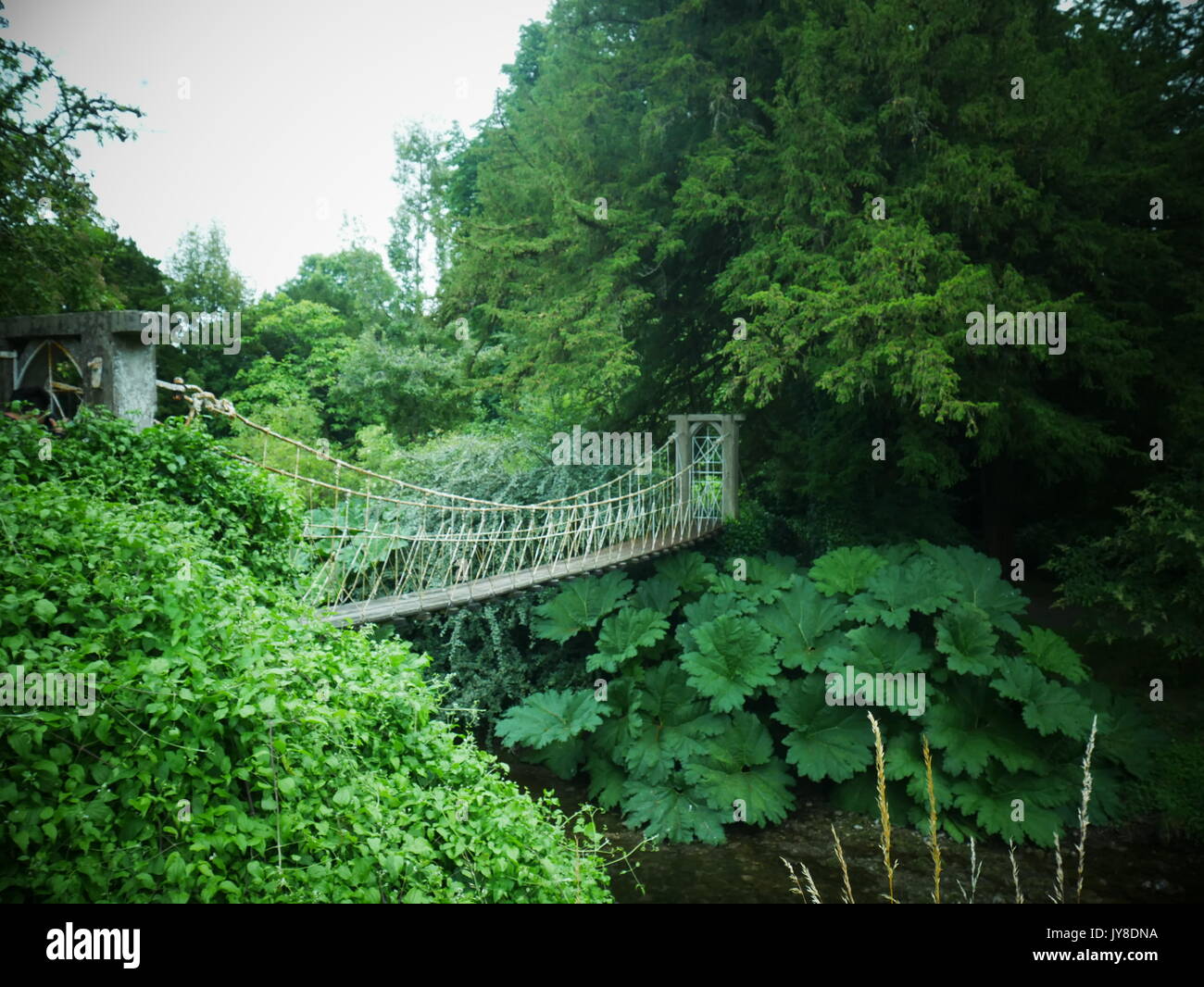 Oldes bridge hi-res stock photography and images - Alamy