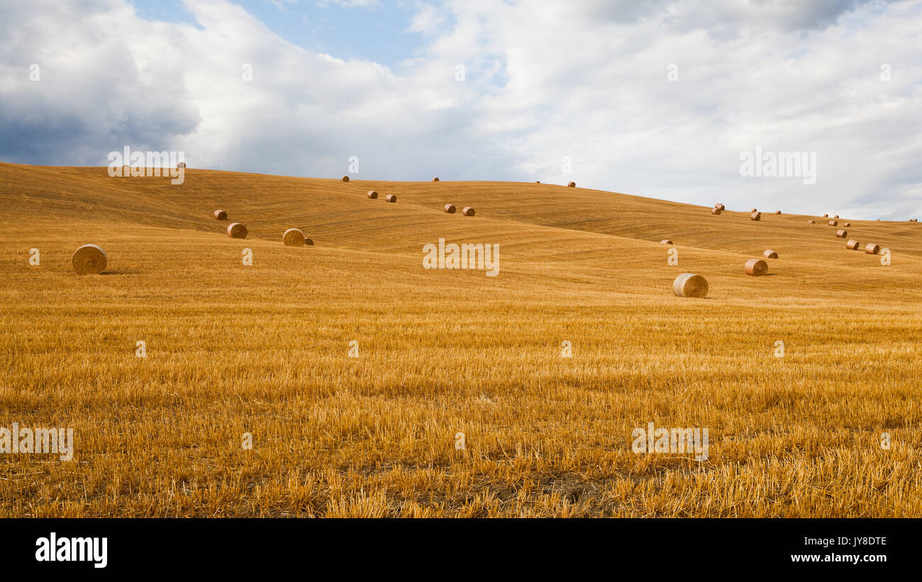Tuscany hay stack hi-res stock photography and images - Alamy