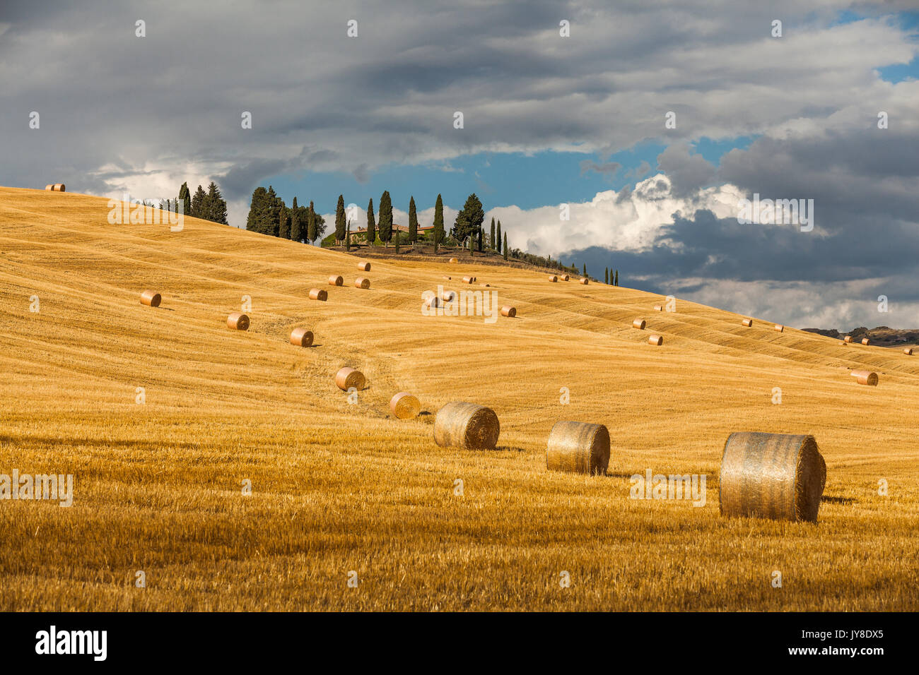 Tuscany scenic hay bales on the field at sunset Stock Photo - Alamy