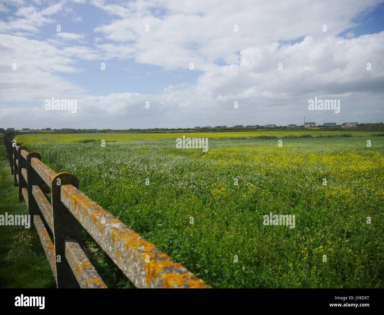 Irish field hi-res stock photography and images - Alamy