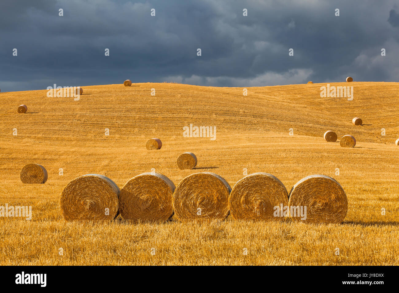 Tuscany hay stack hi-res stock photography and images - Alamy