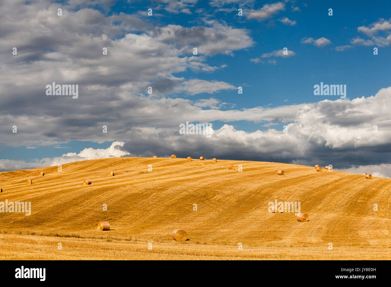 Harvested wheat field tuscany hi-res stock photography and images - Alamy