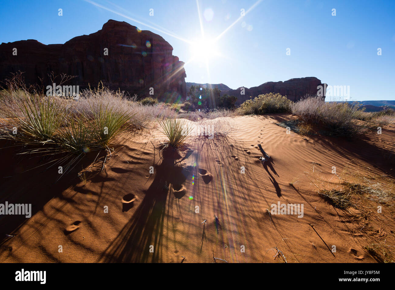 Monument Valley, Utah, USA. Unidentified animal tracks across a sandy ...