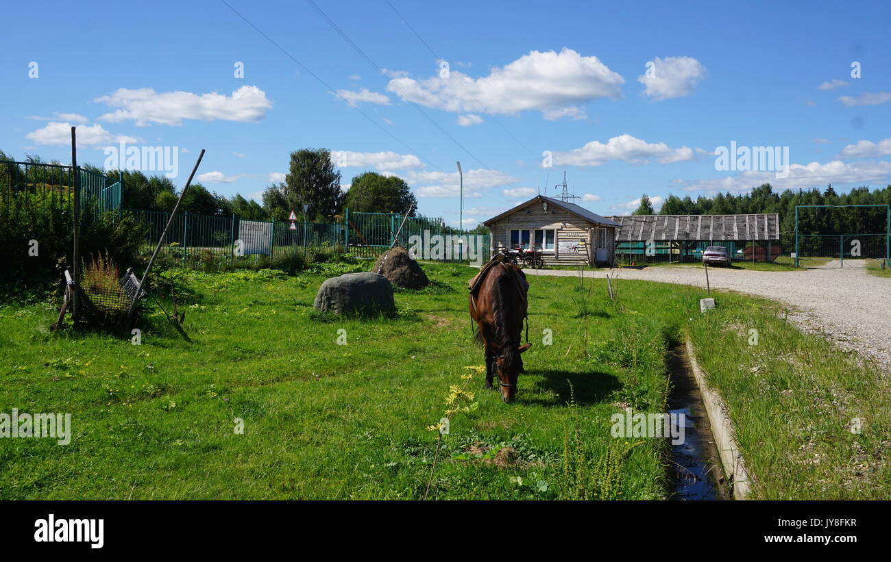 Russia Countryside home and animals Stock Photo - Alamy