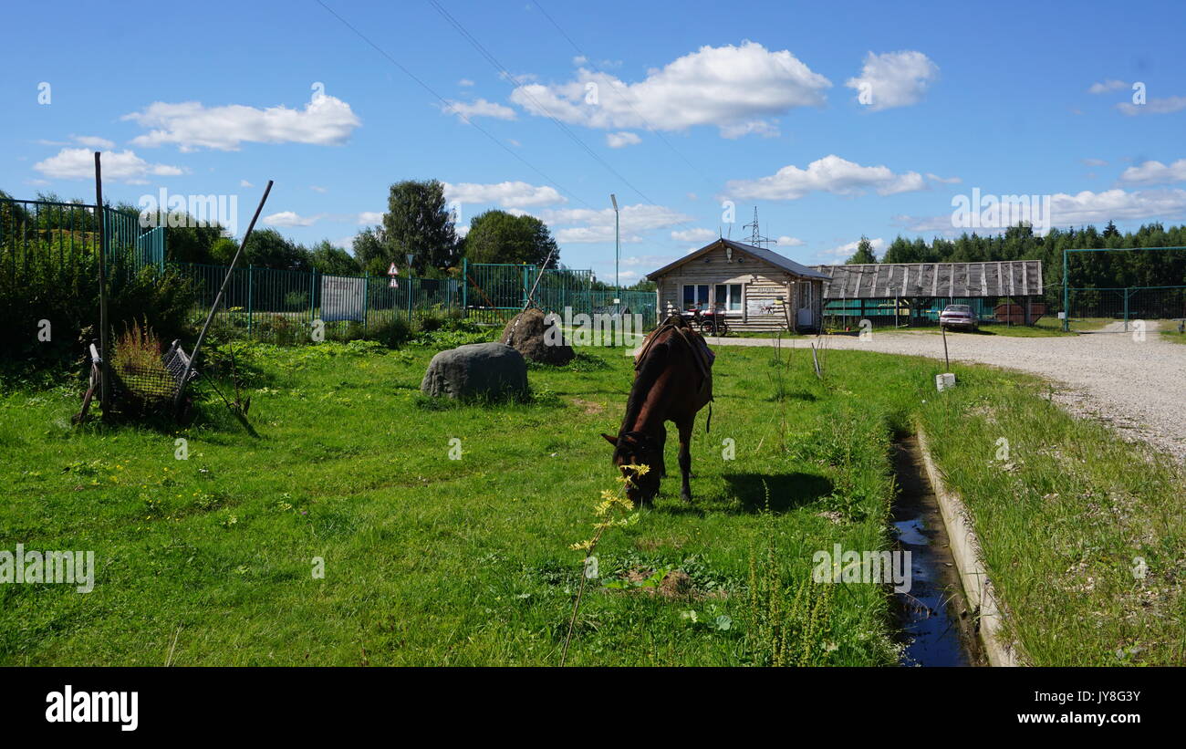 Russia Countryside home and animals Stock Photo - Alamy