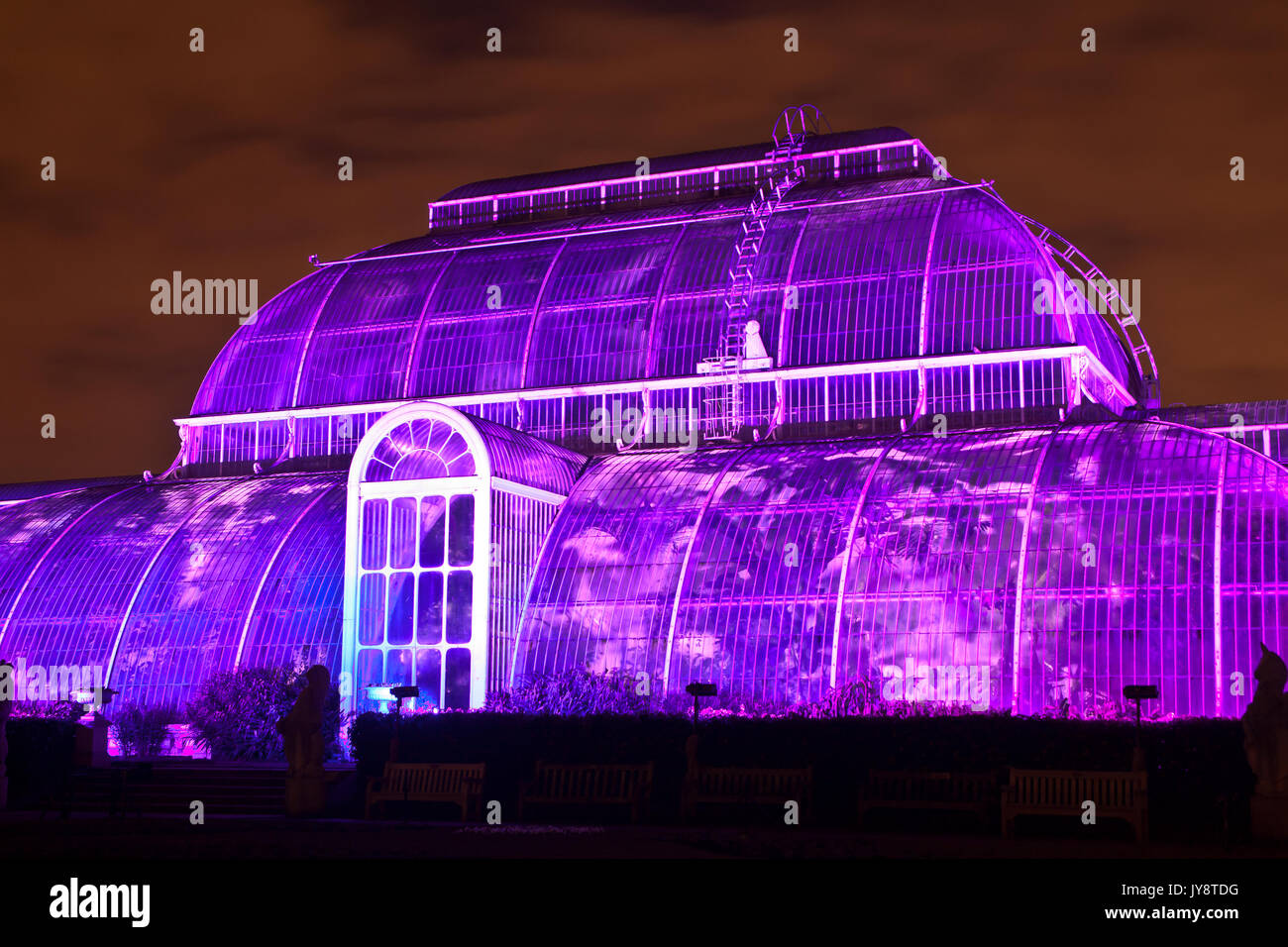 Purple palm house Stock Photo - Alamy