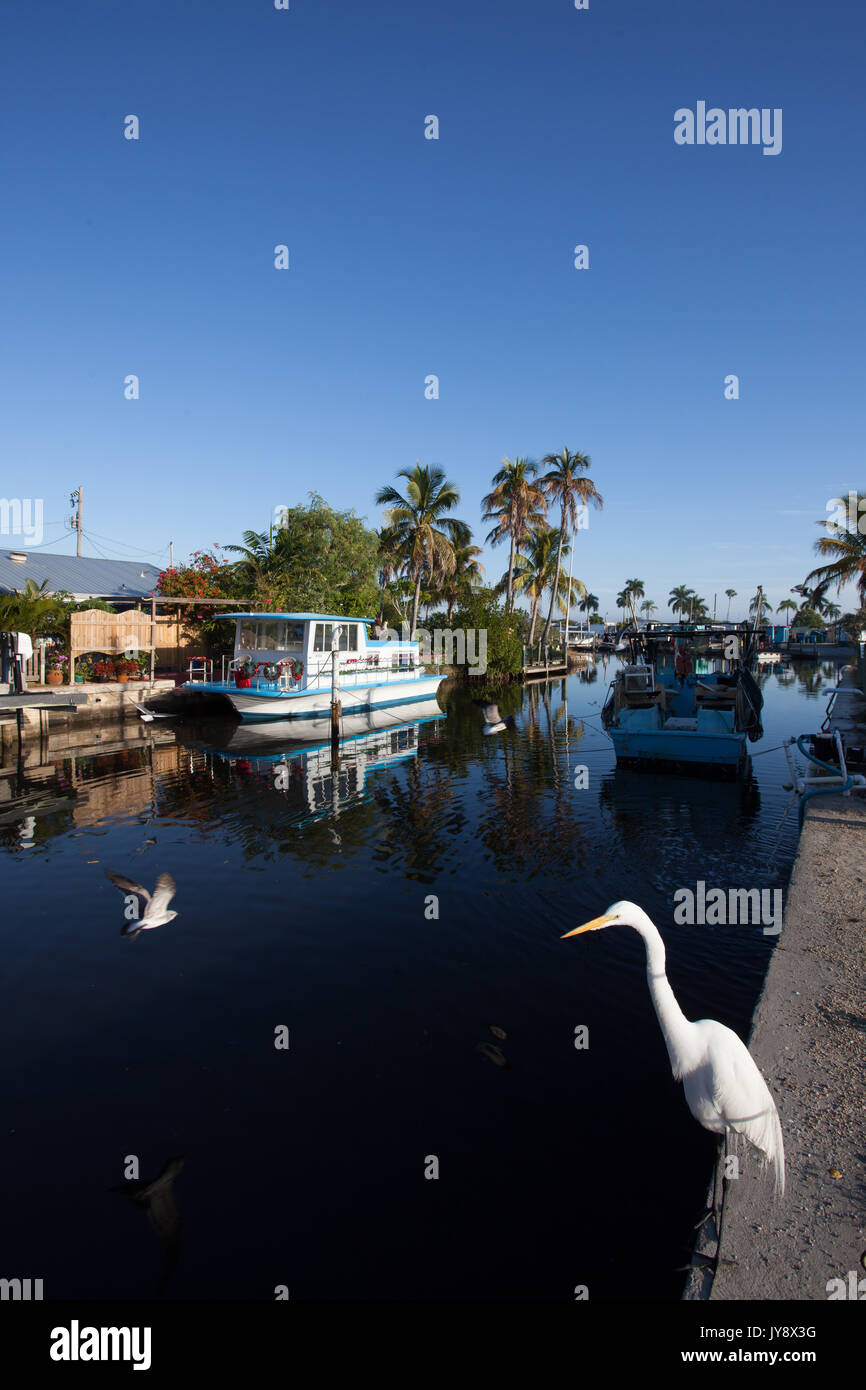 Matlacha, Florida, United States Stock Photo - Alamy