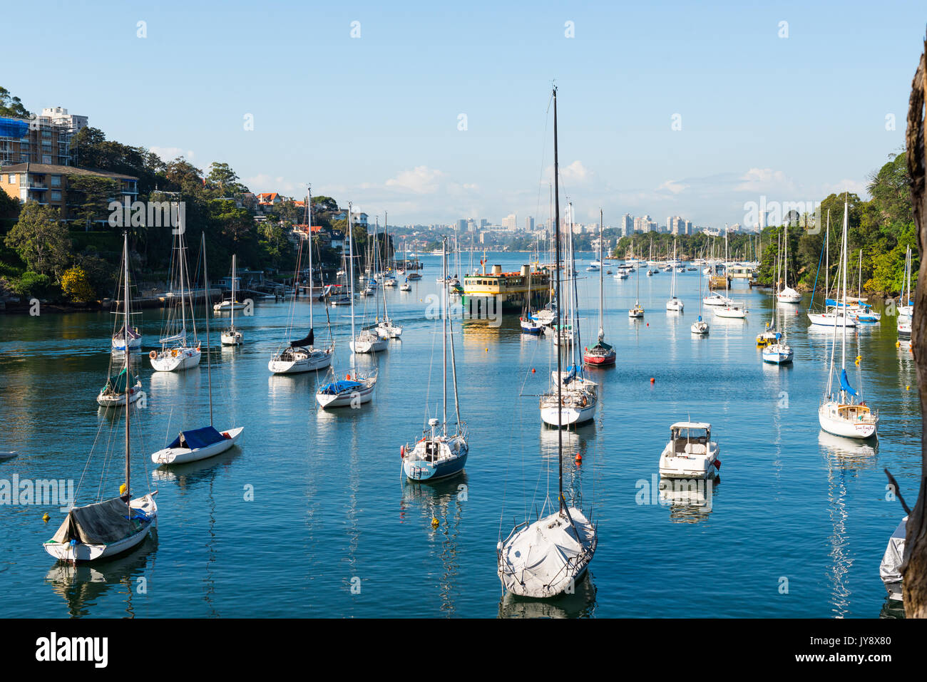 Cremorne point hi-res stock photography and images - Alamy