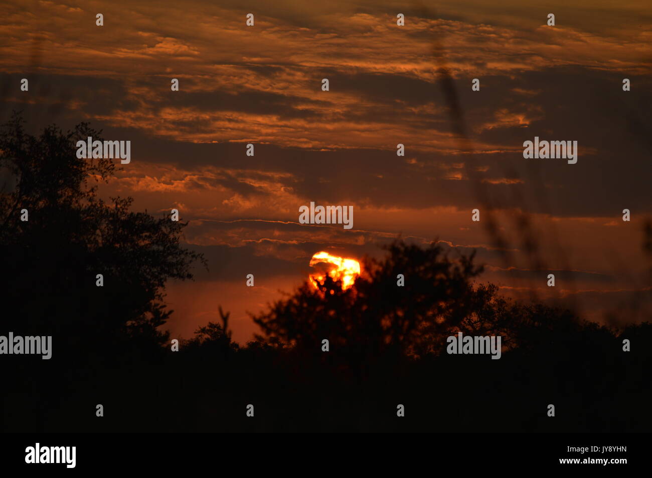 Google photos screenshot hi-res stock photography and images - Alamy