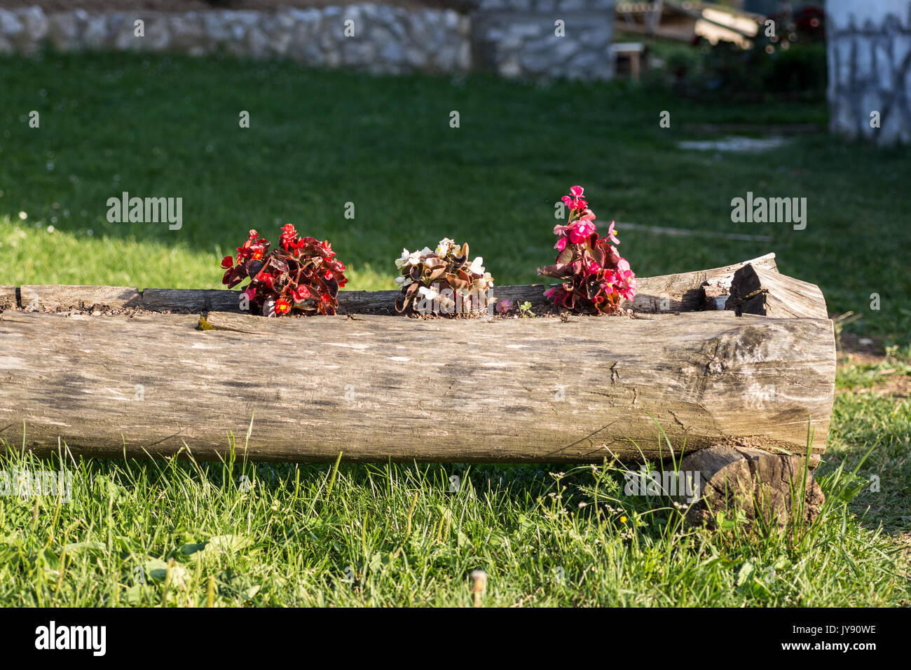Flowerpot container hi-res stock photography and images - Alamy