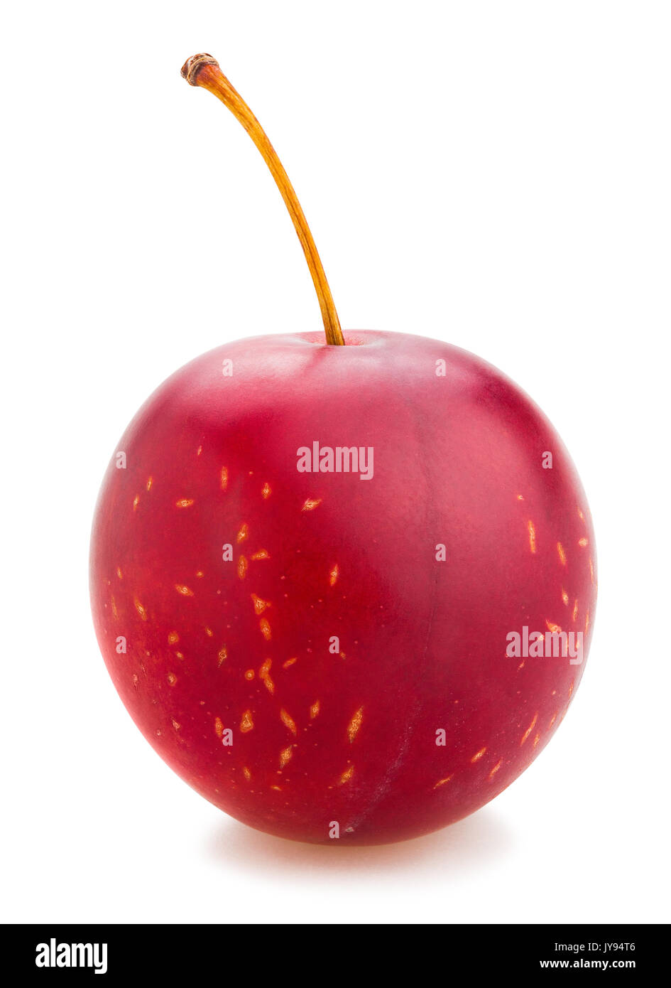 Juicy cherry plum hi-res stock photography and images - Alamy