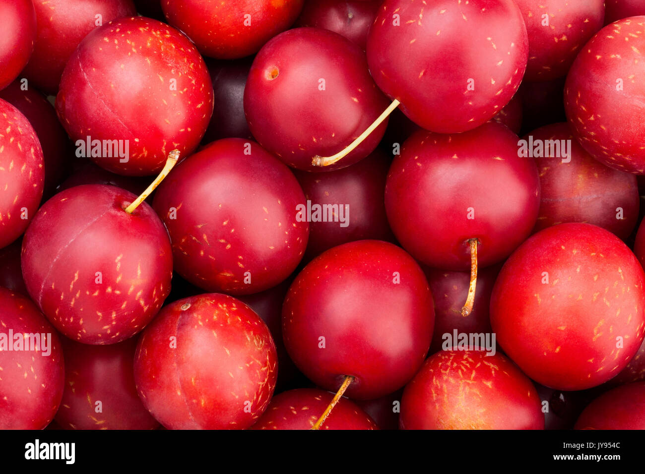 cherry plum texture Stock Photo - Alamy
