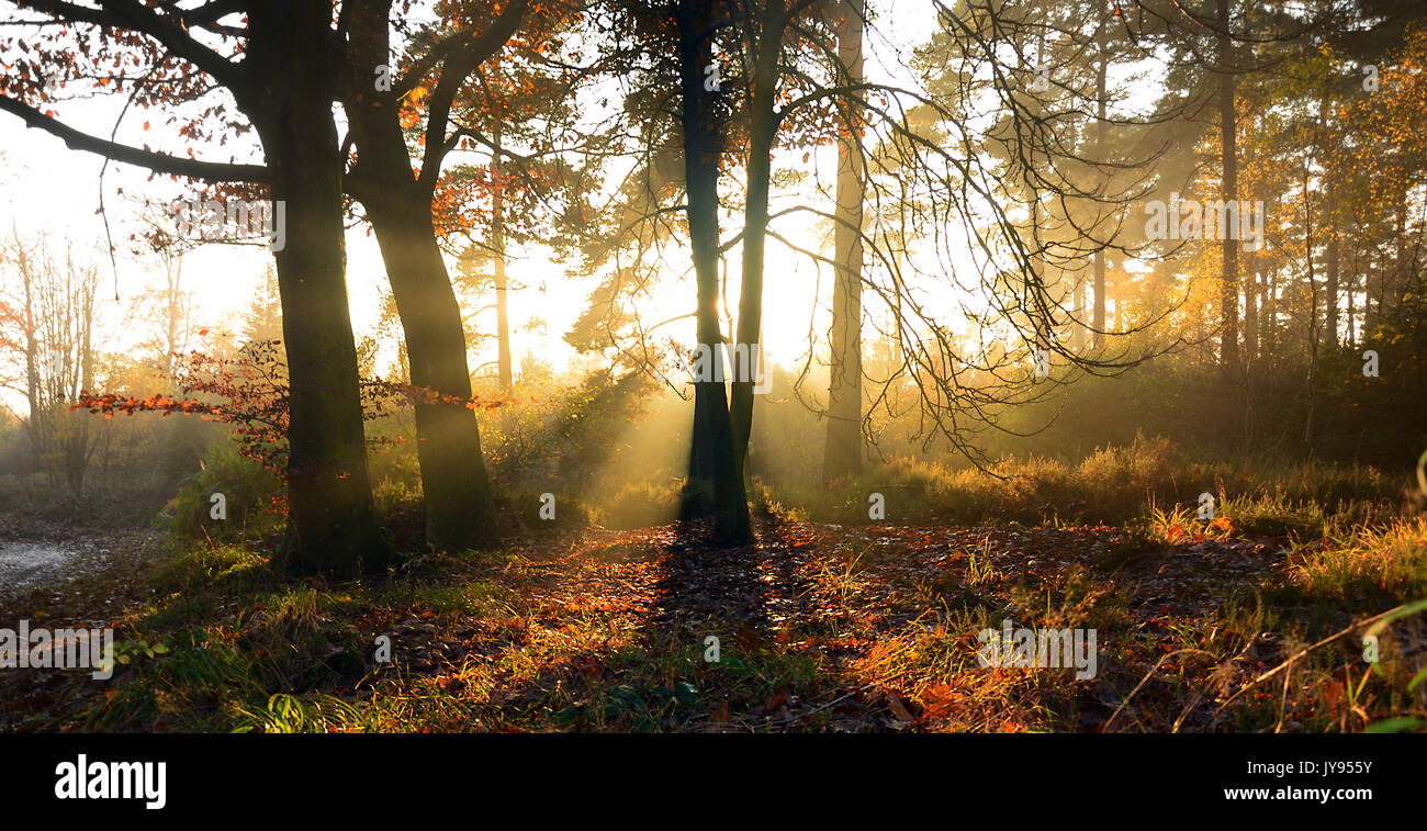 Dalby forest hi-res stock photography and images - Alamy