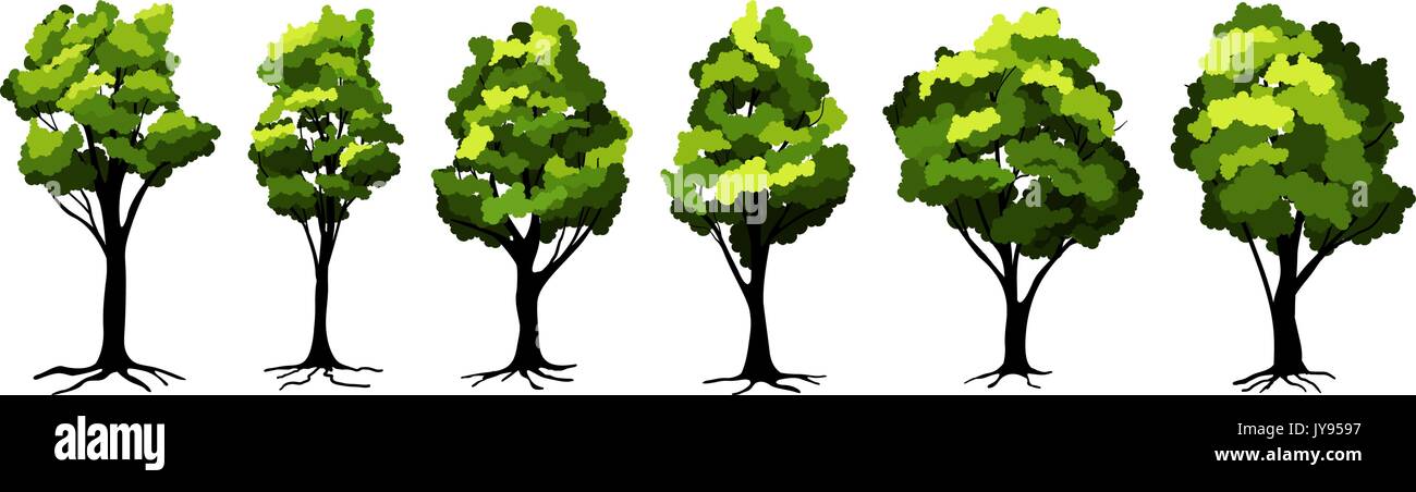 Vector trees set Stock Vector Image & Art - Alamy
