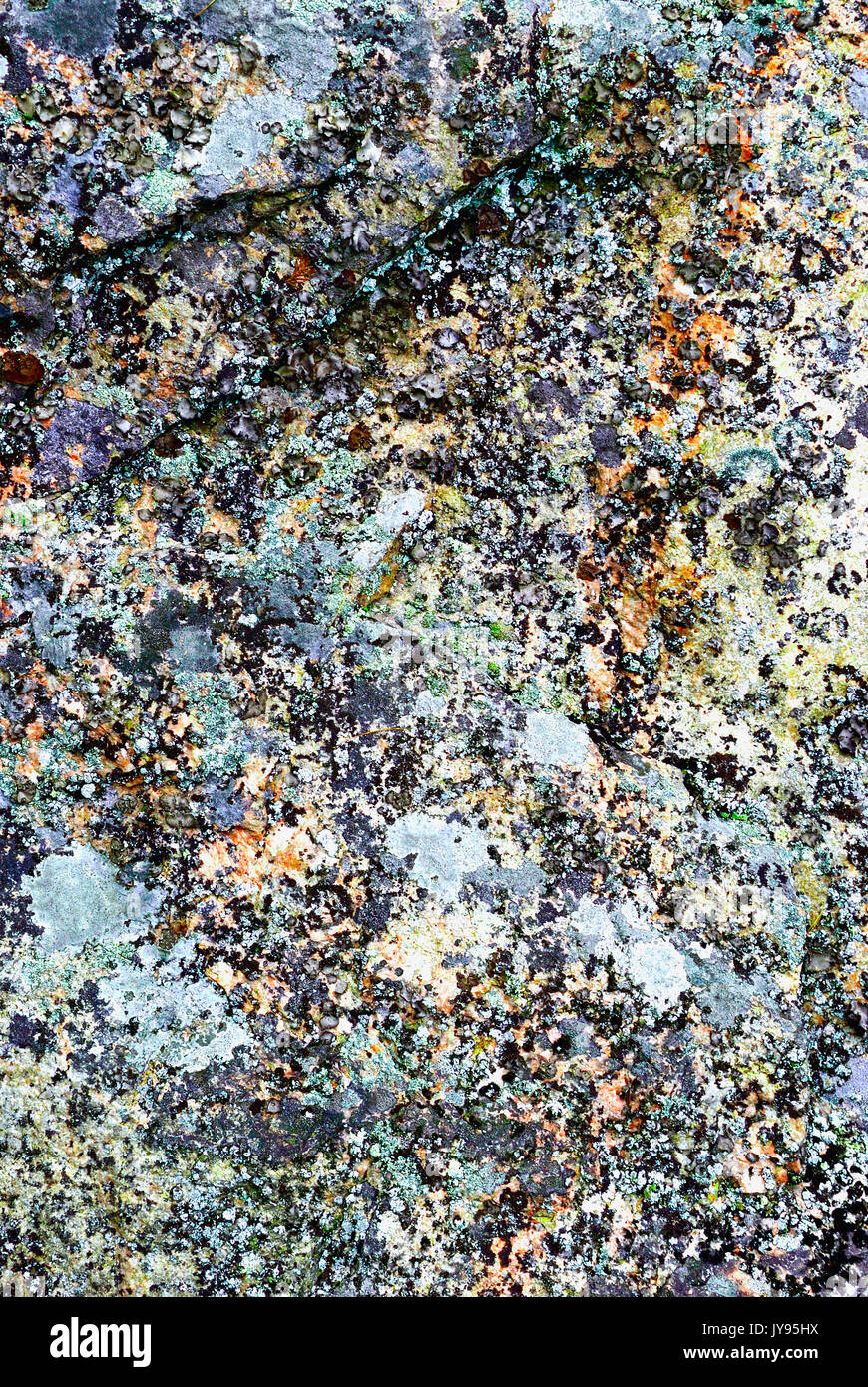 Canadian shield hi-res stock photography and images - Alamy