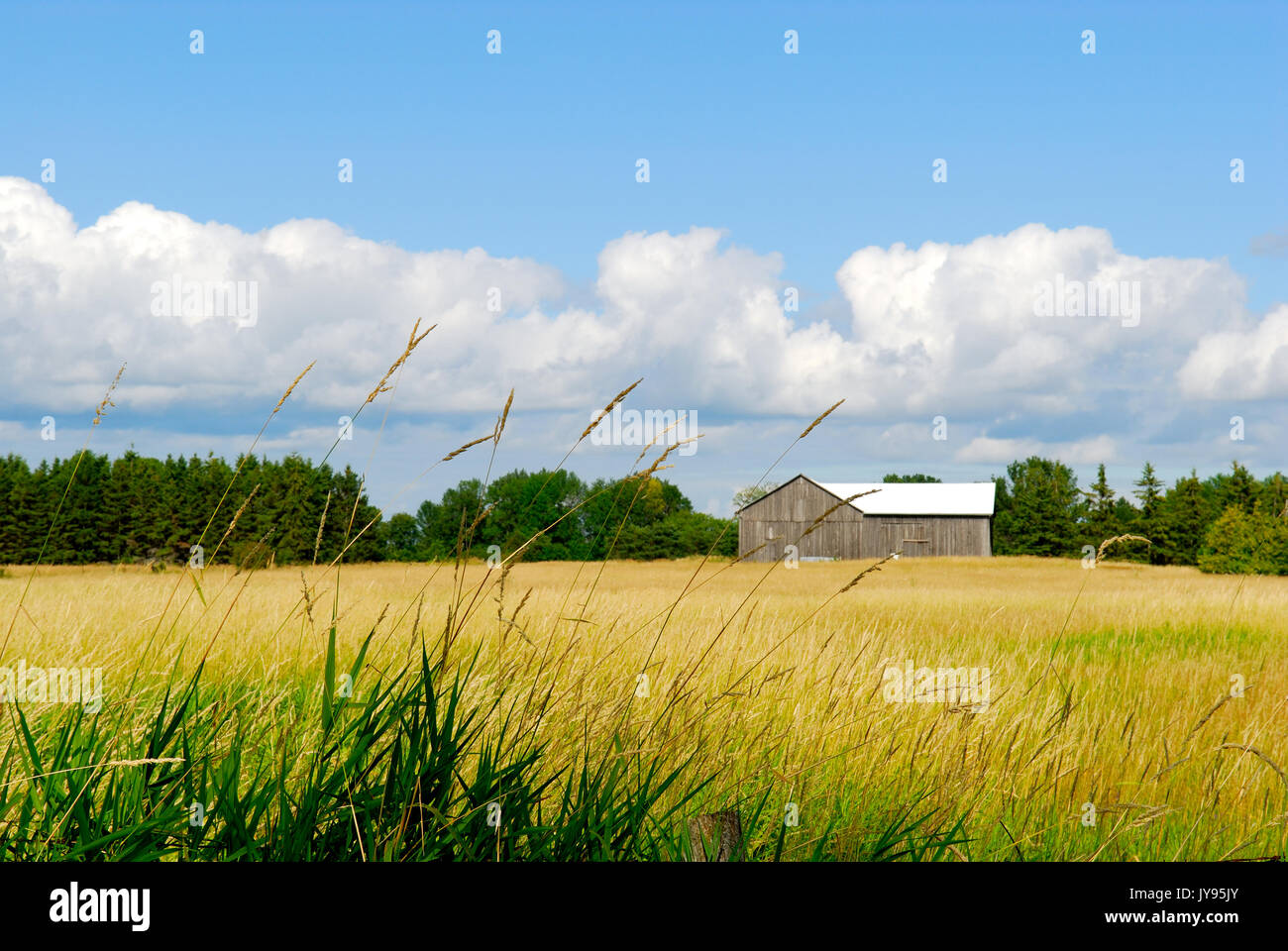 A farm scene from the countryside Stock Photo - Alamy