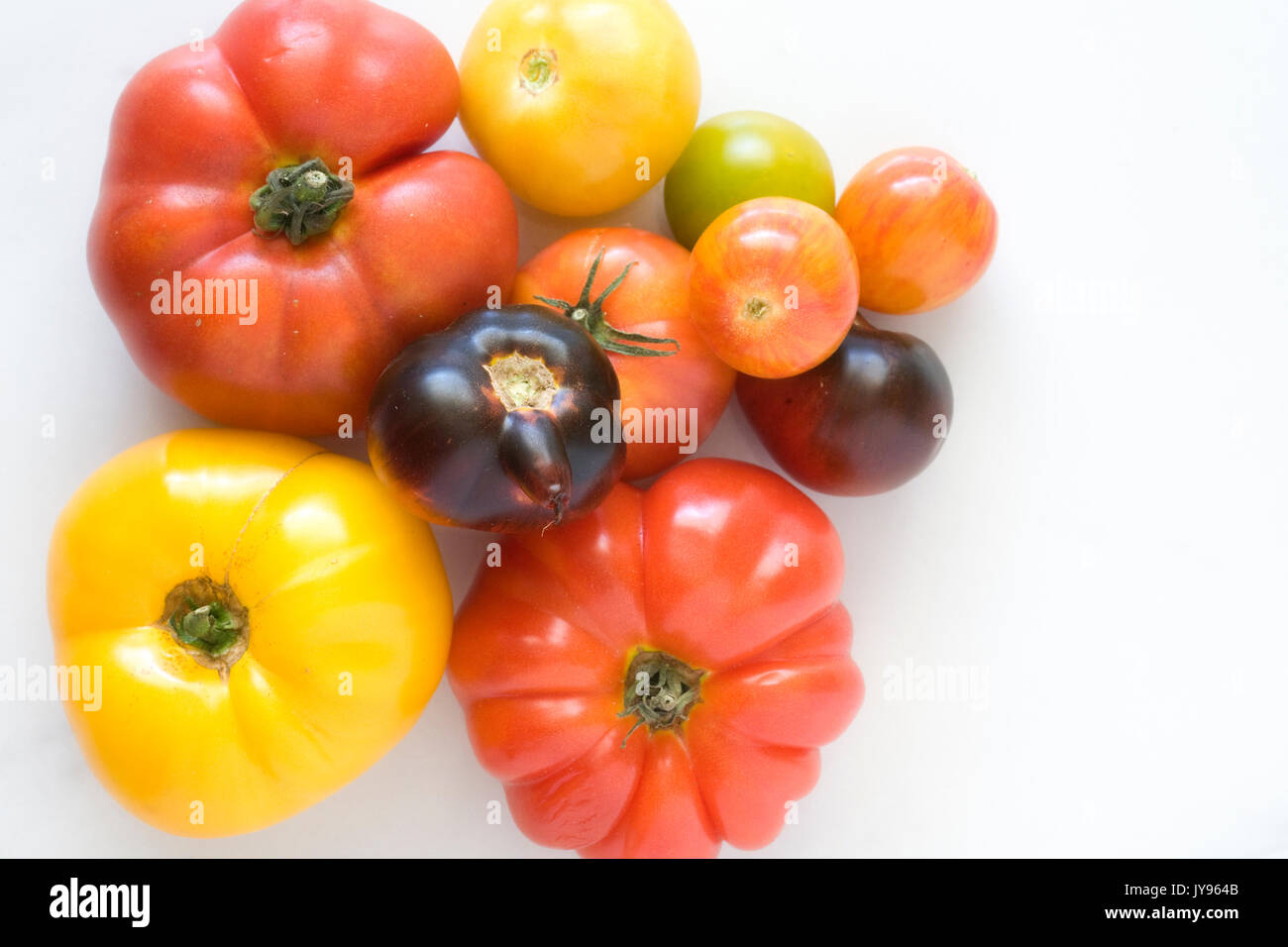 Lycopersicon esculentum botany hi-res stock photography and images - Alamy