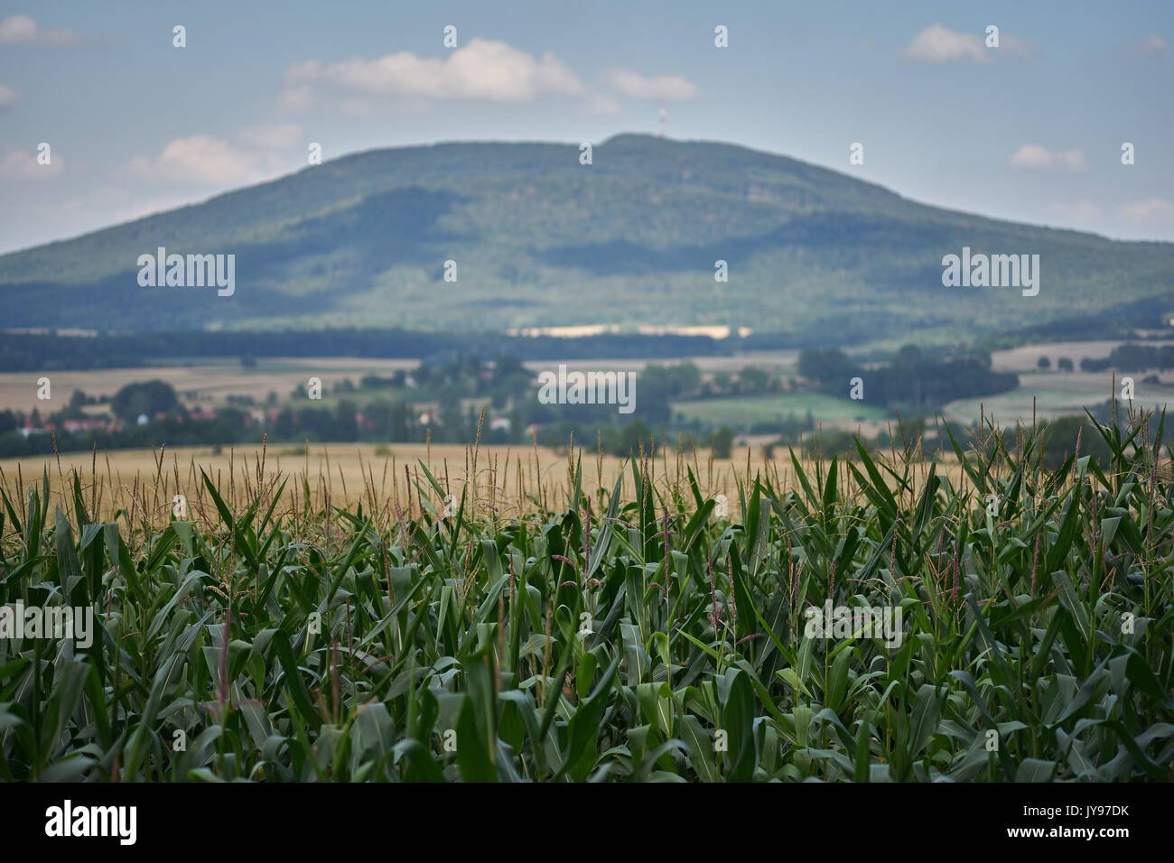 Mount Sleza Summer rural landscape lower silesia poland Stock Photo - Alamy