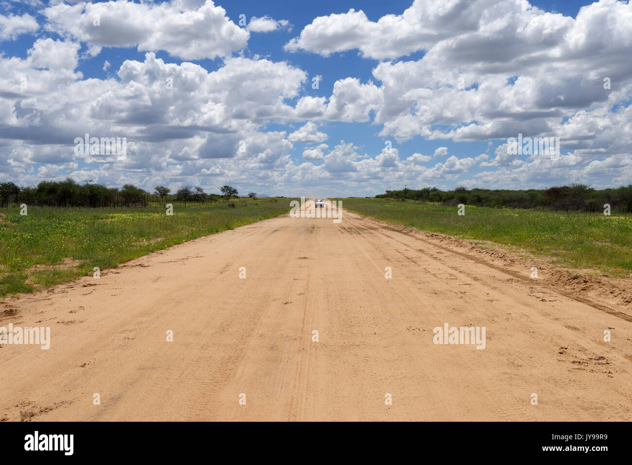 Morgensternchen hi-res stock photography and images - Alamy