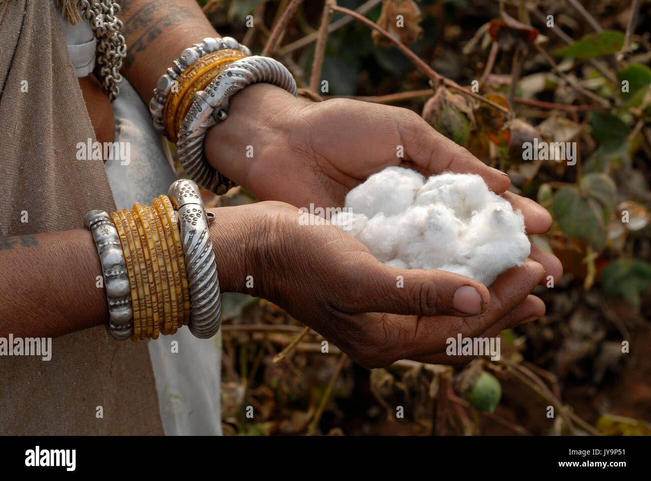 India pradesh organic cotton project hi-res stock photography and ...