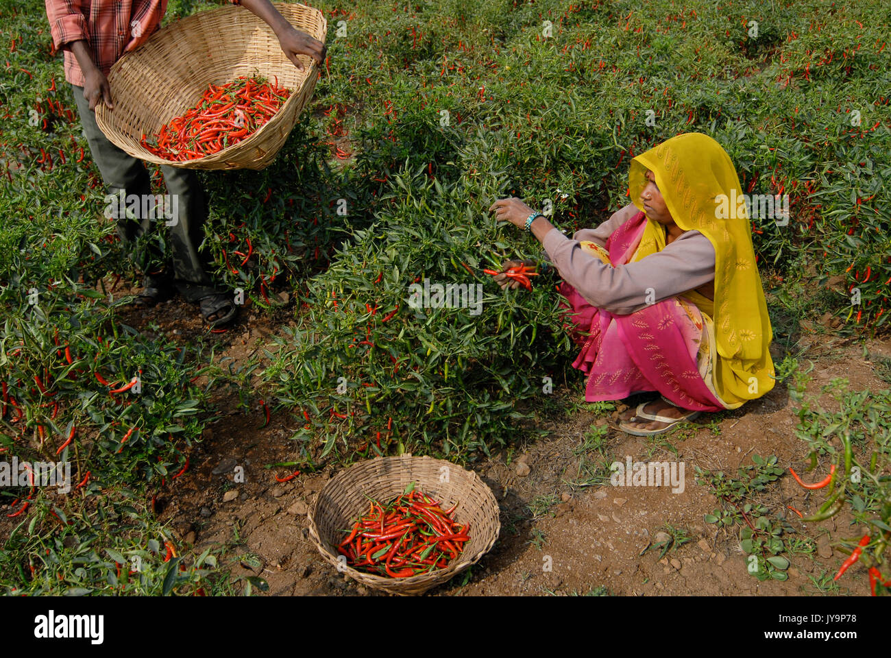 Chily hi-res stock photography and images - Alamy