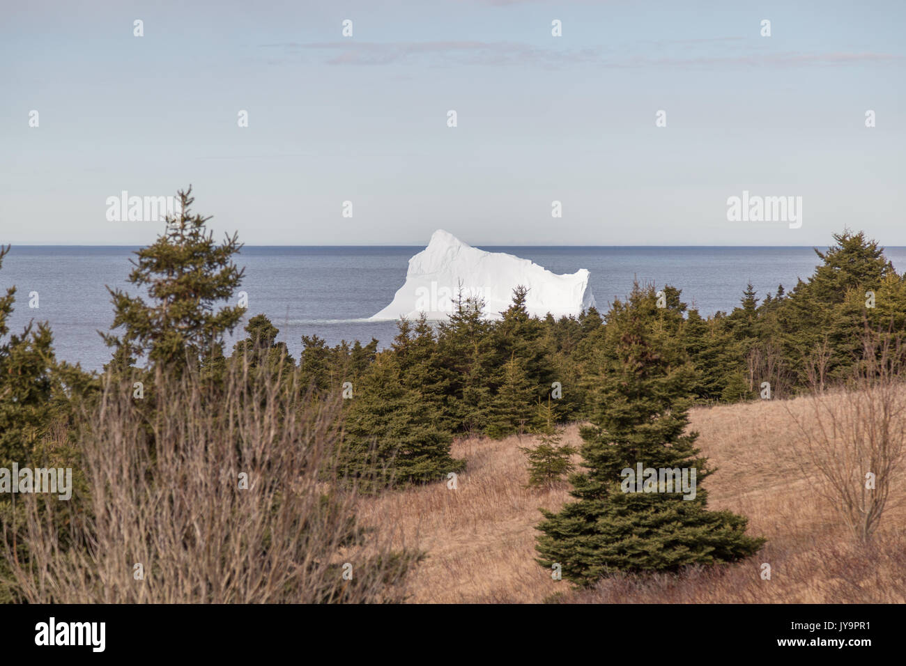 Large iceberg on the sea at sunset in Torbay, Newfoundland, Canada ...