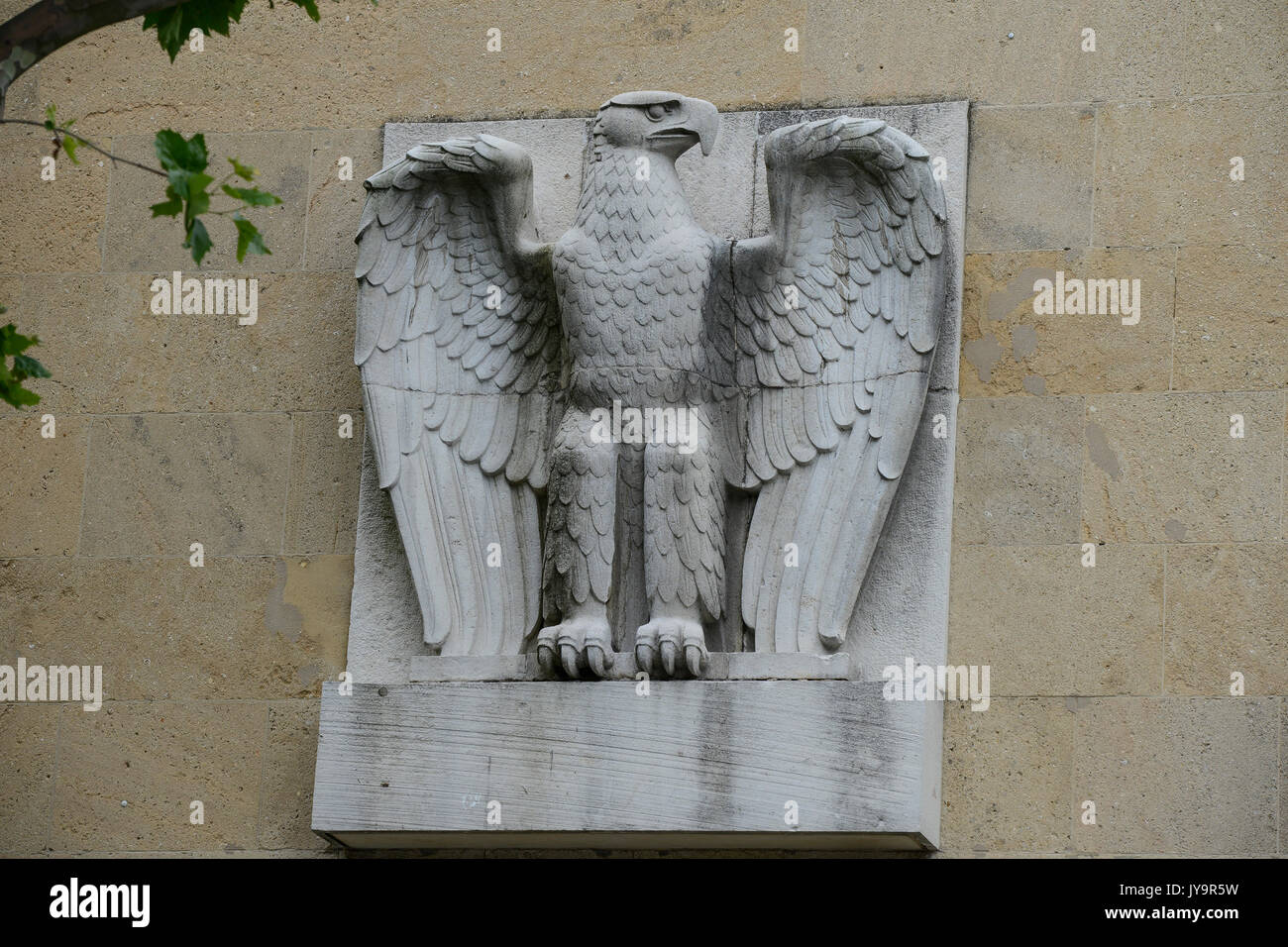 Iron Eagle Nazi Symbol