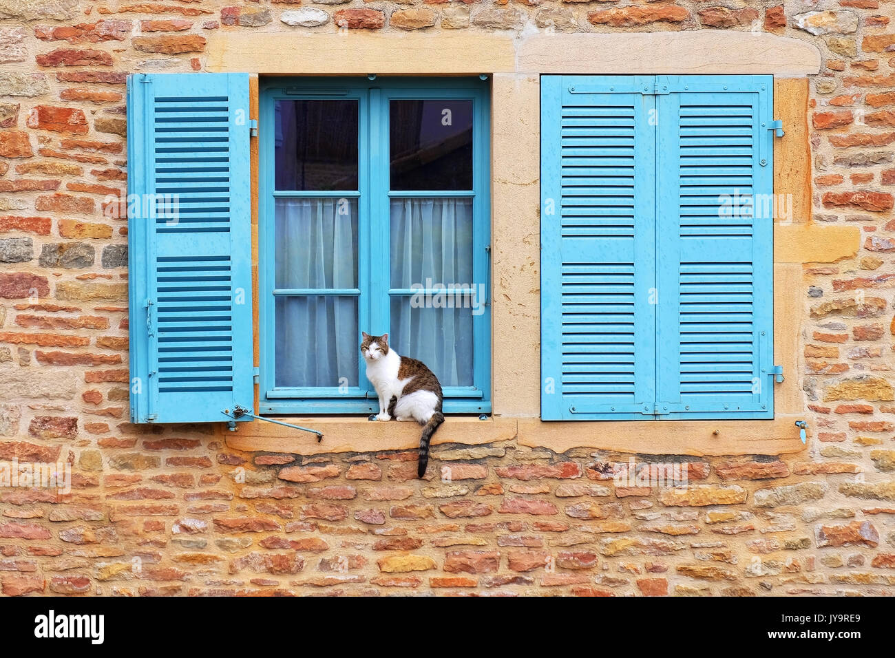 A cat sitting at the opened window of a typical house in a countryside ...