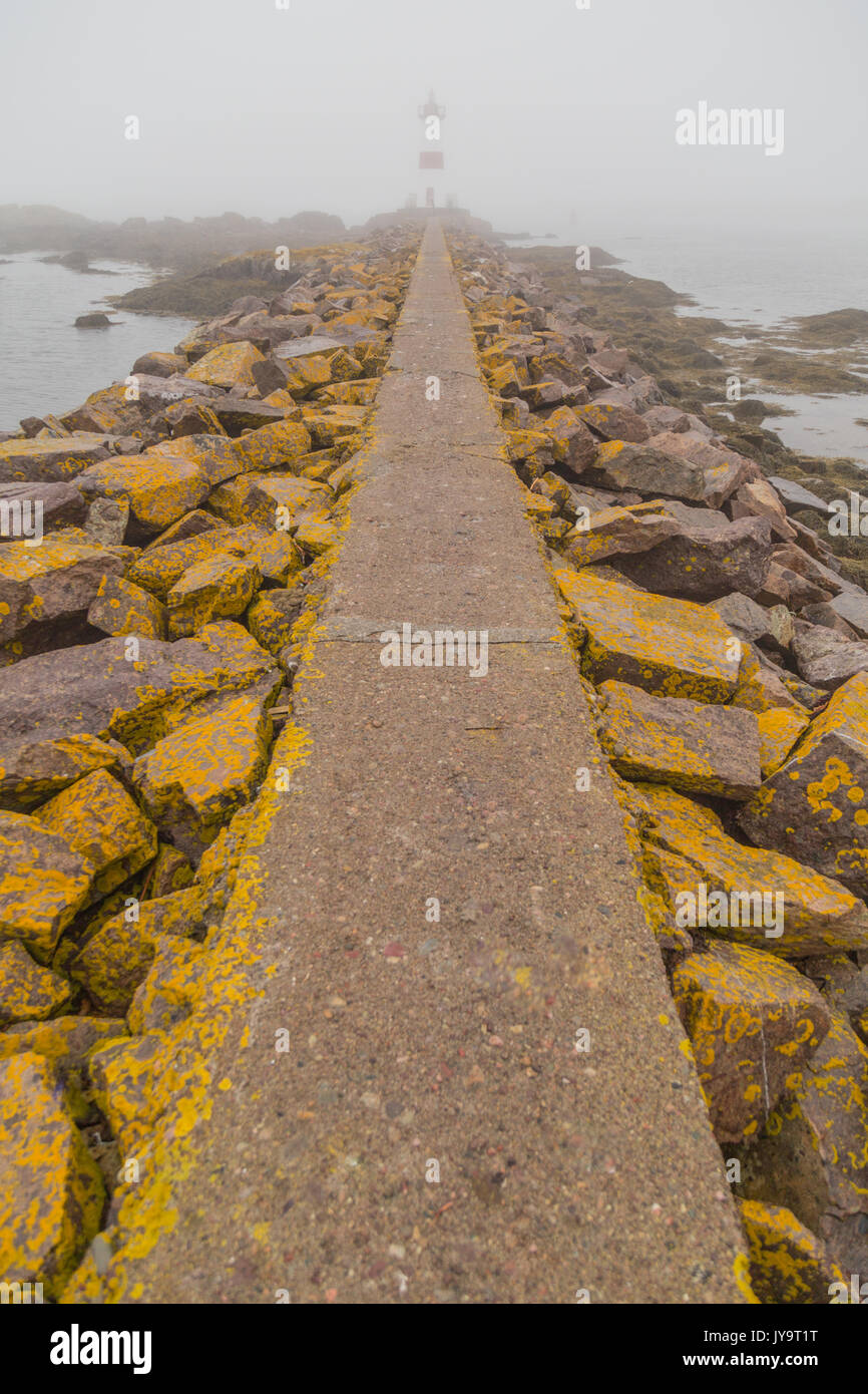 Long stone pathway with large boulders on both sides covered in yellow ...