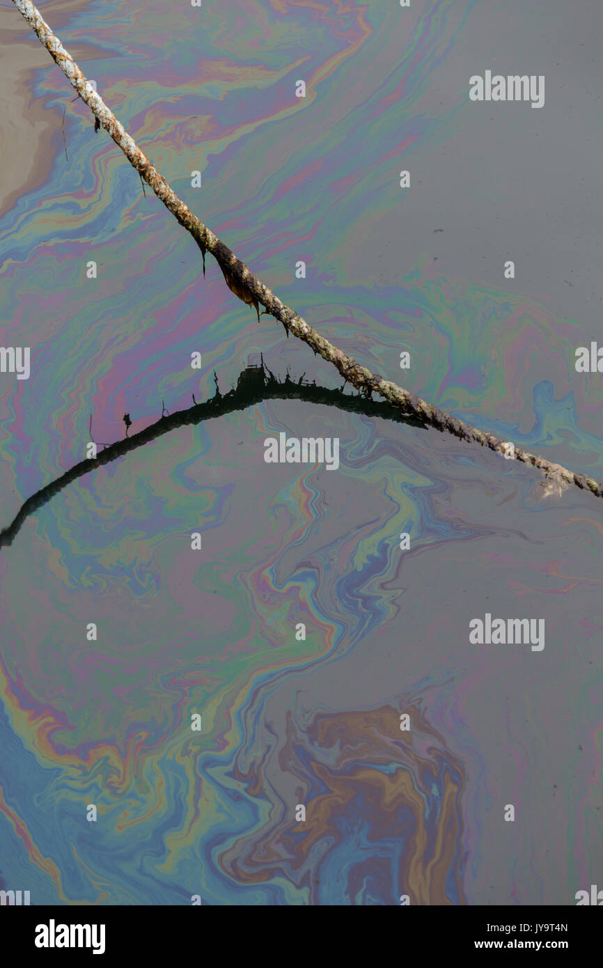 Black water with blue and purple gasoline or oil spill and a white ...