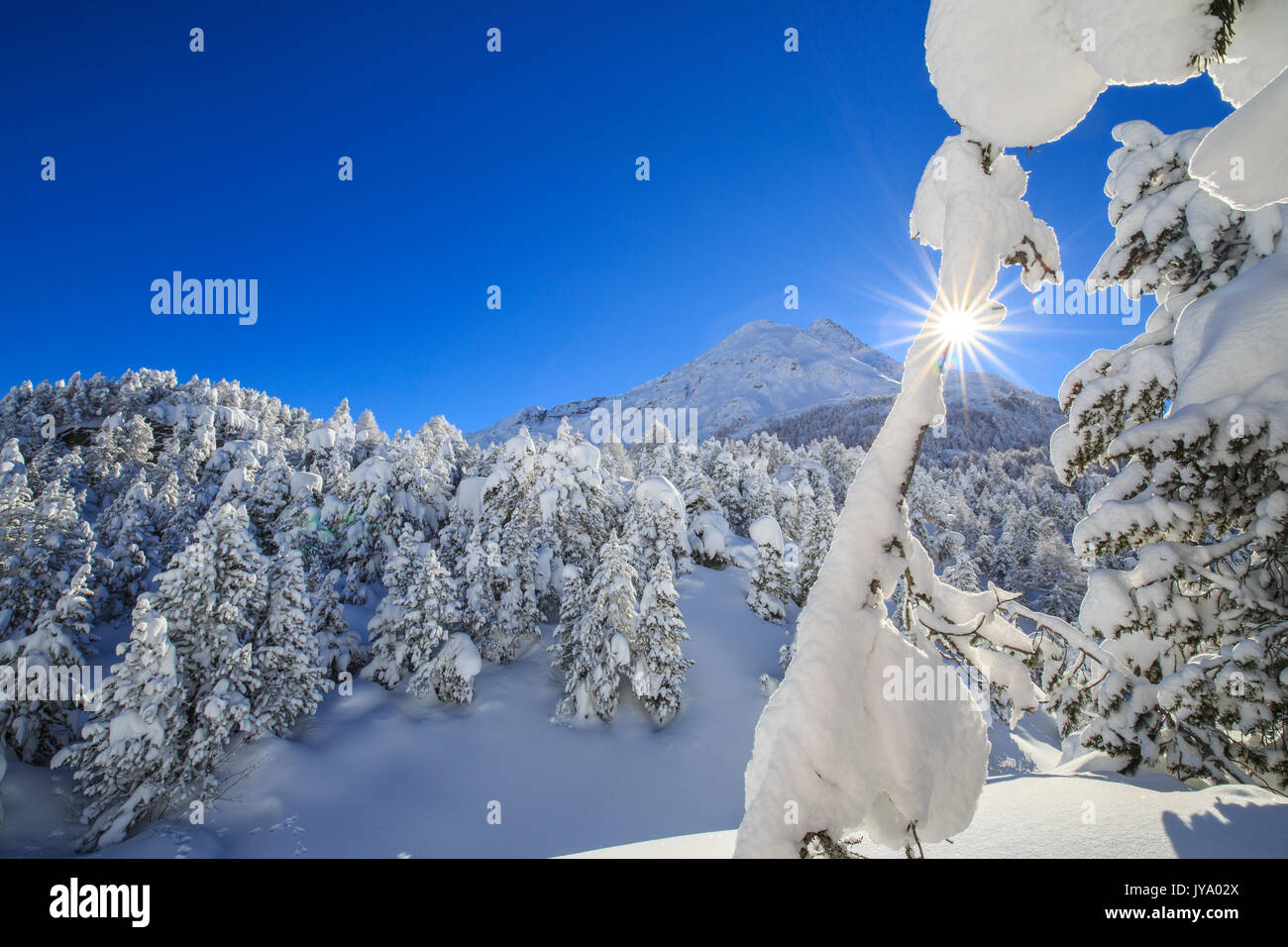 The winter sun shines on the snow covered woods and the landscape ...