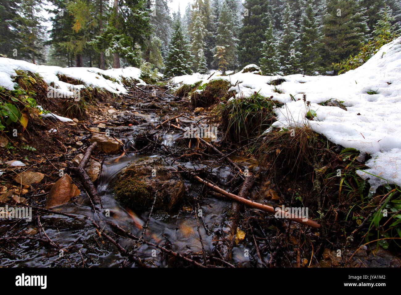Snowmelt hi-res stock photography and images - Alamy